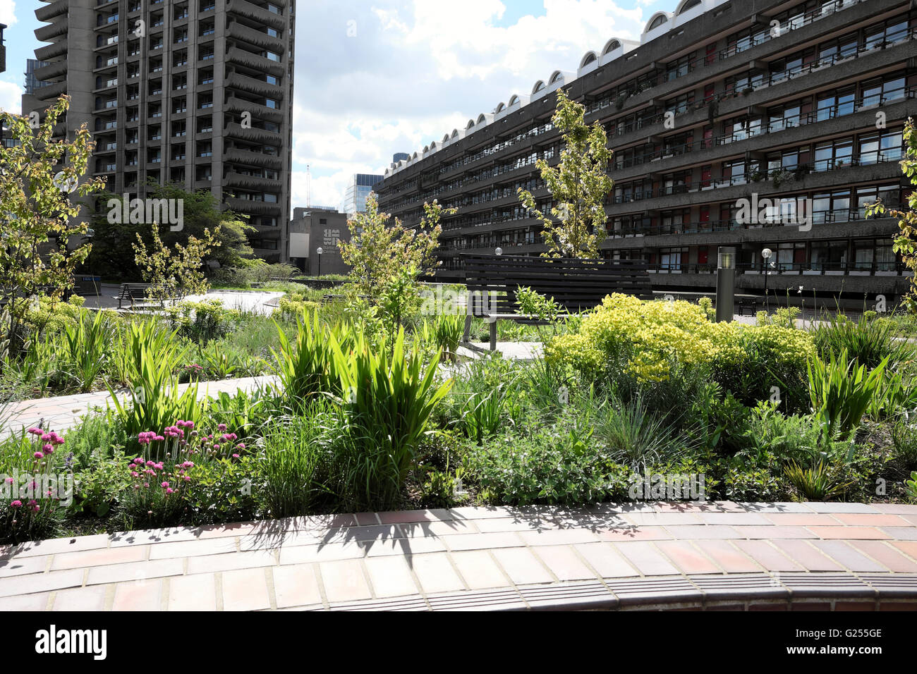 Planting for flats hi-res stock photography and images - Alamy
