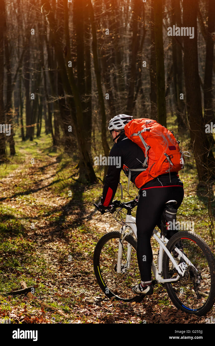 Cyclist Riding the Bike on a Trail in Summer Forest Stock Photo - Alamy