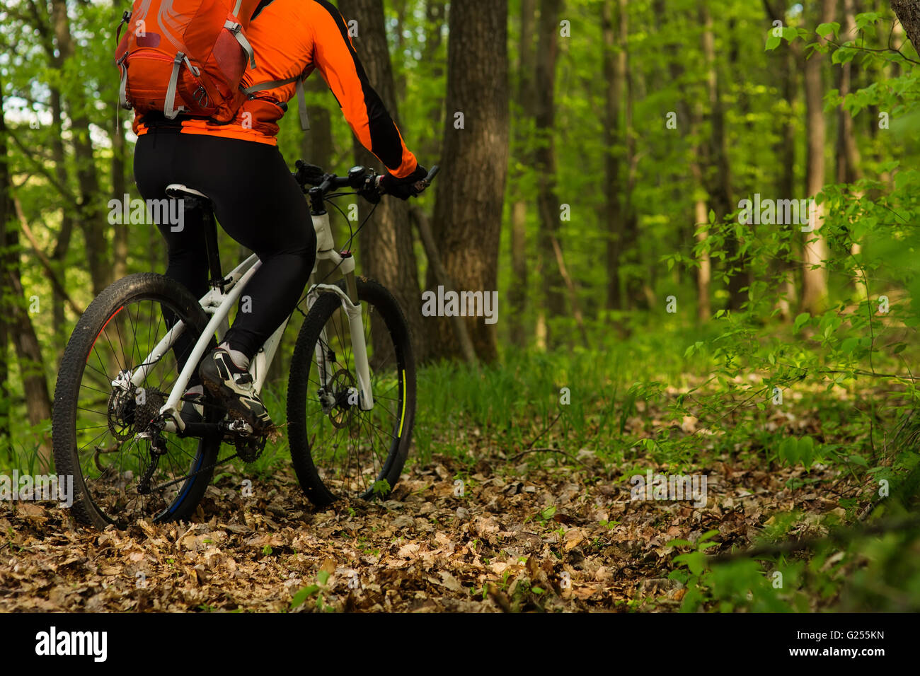Cyclist Riding the Bike on a Trail in Summer Forest Stock Photo - Alamy