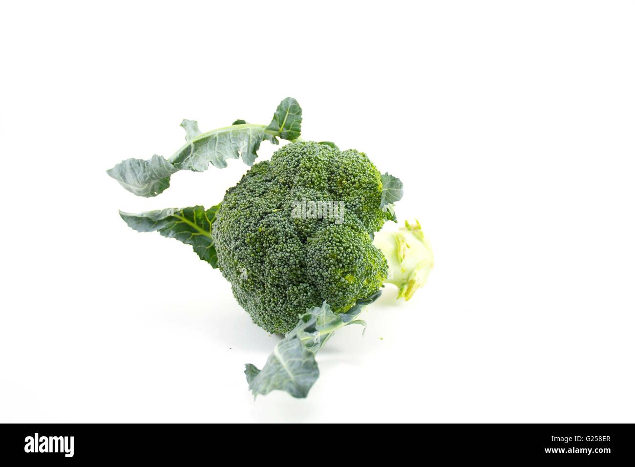 Fresh Broccoli isolated.on white background.Vegetable.center Stock ...