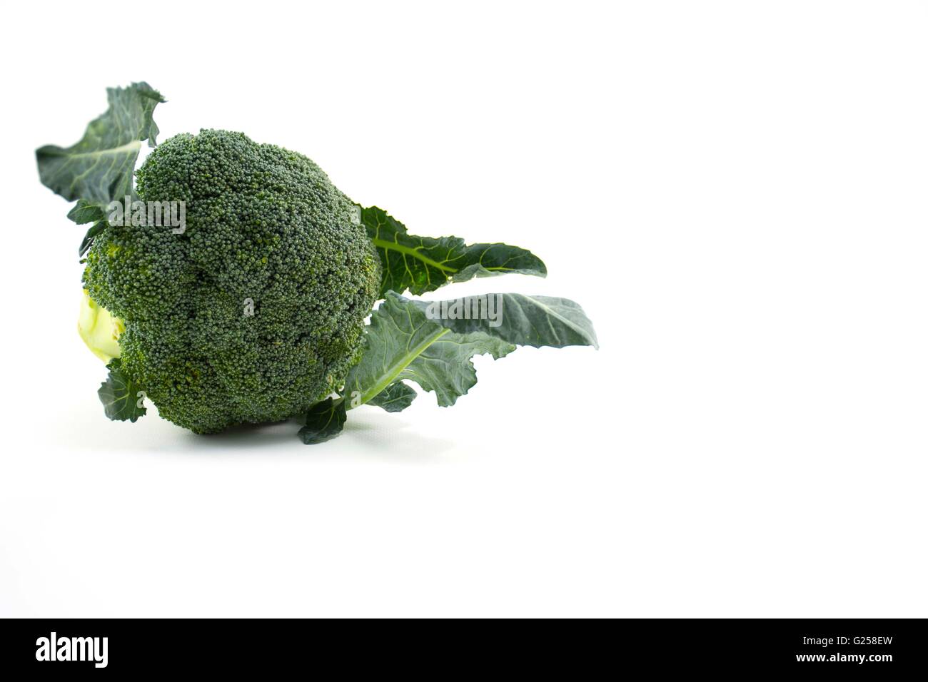 Fresh Broccoli isolated.on white background.Vegetable.left Stock Photo ...
