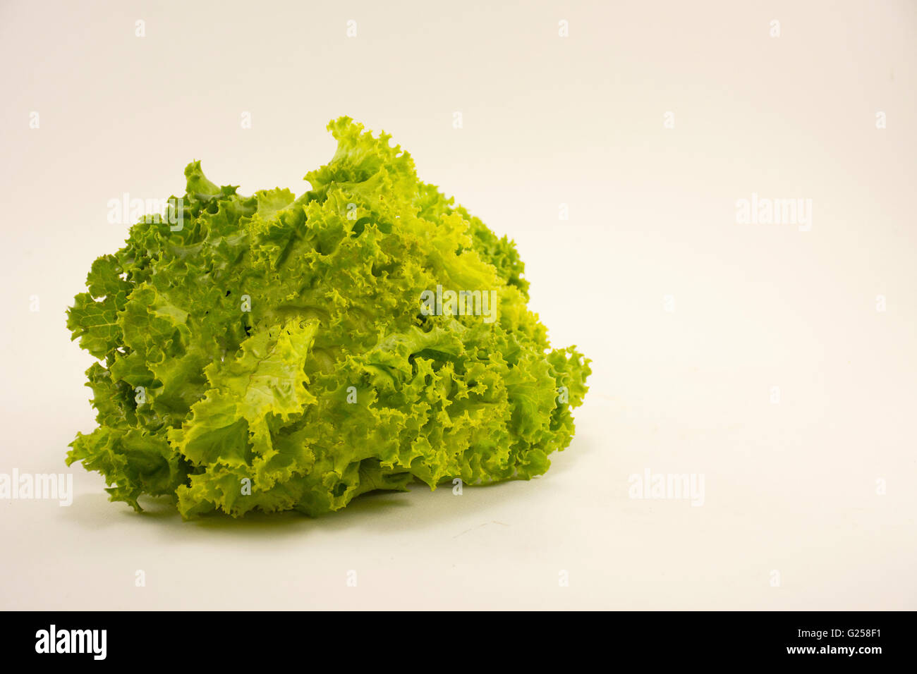 Fresh lettuce isolated.on white background.Vegetable.left Stock Photo ...