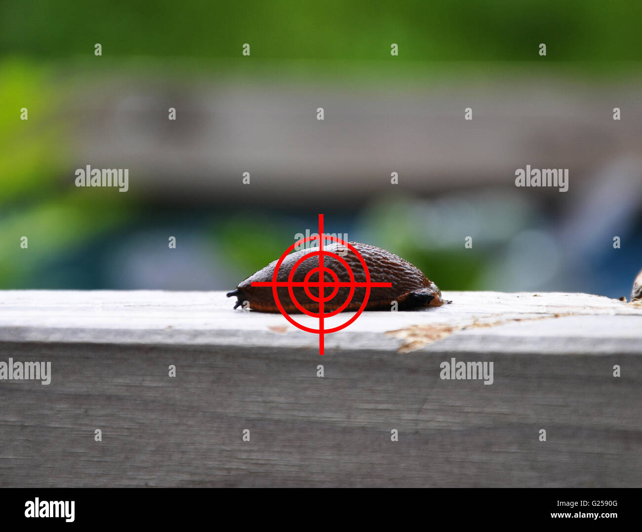 Slug sign hi-res stock photography and images - Alamy