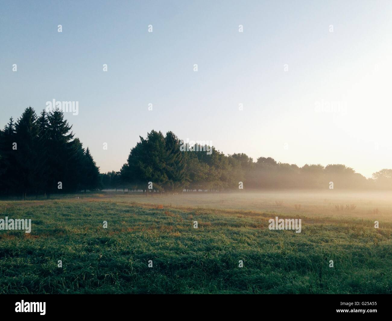 Rural landscape in fog Stock Photo - Alamy
