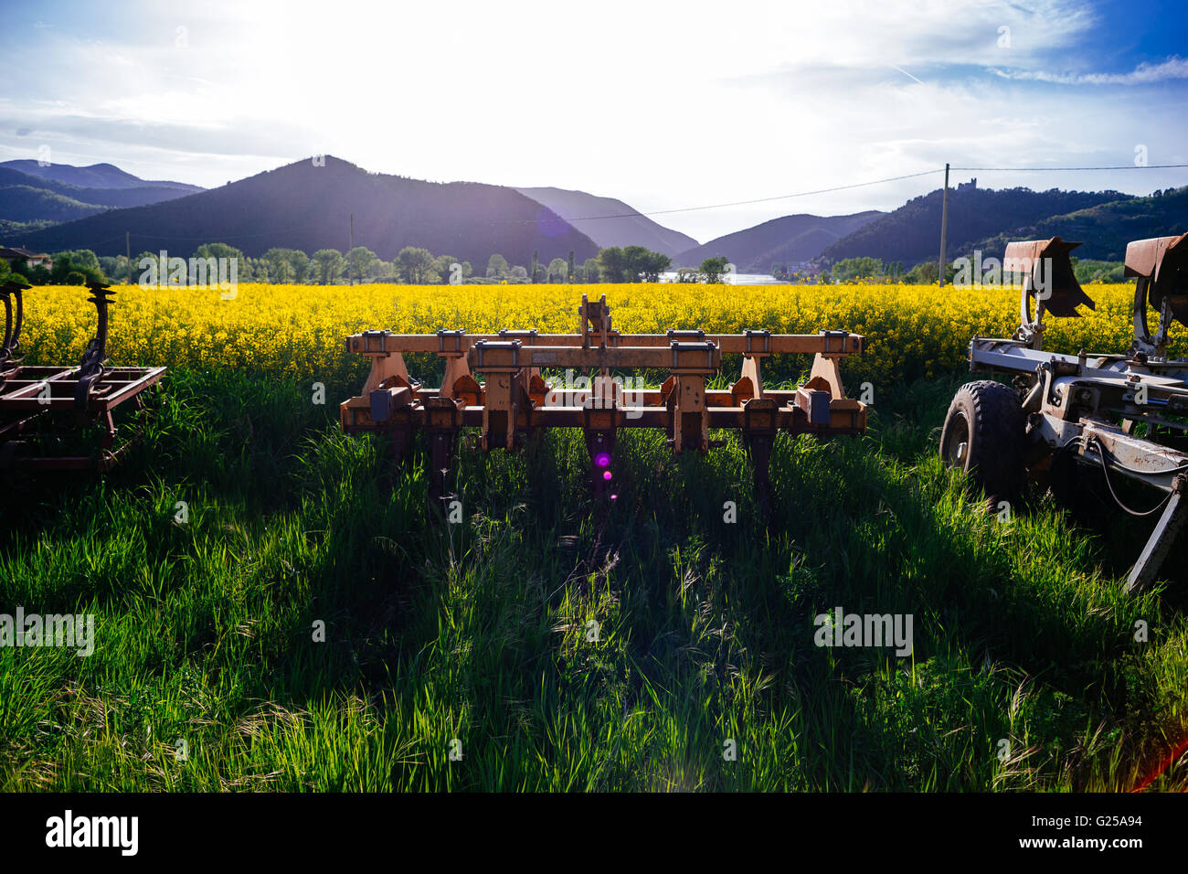 Rapeseed field and farming equipment, Italy Stock Photo - Alamy