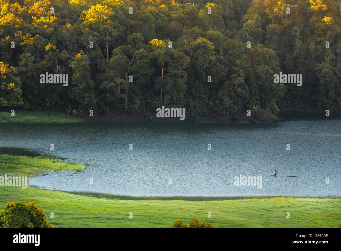 Forest and lake, West Java, Indonesia Stock Photo - Alamy