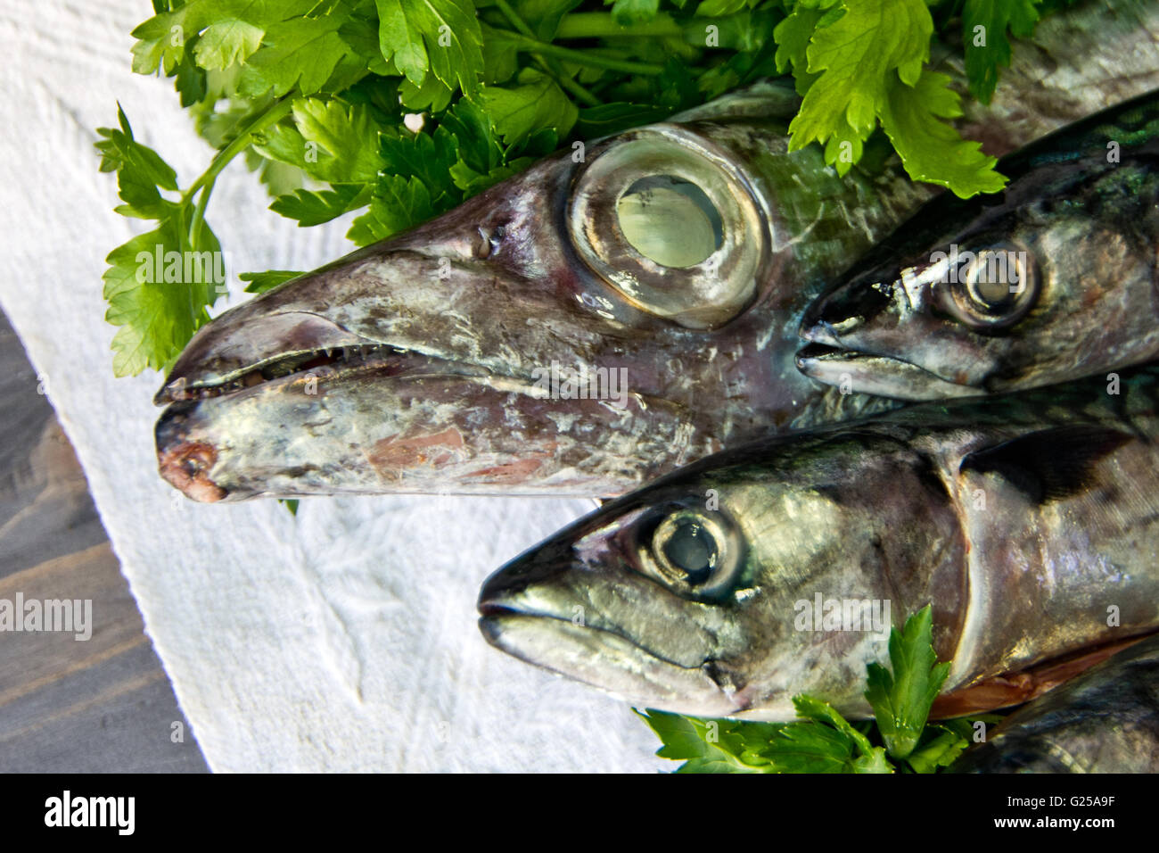 Three fish hi-res stock photography and images - Alamy