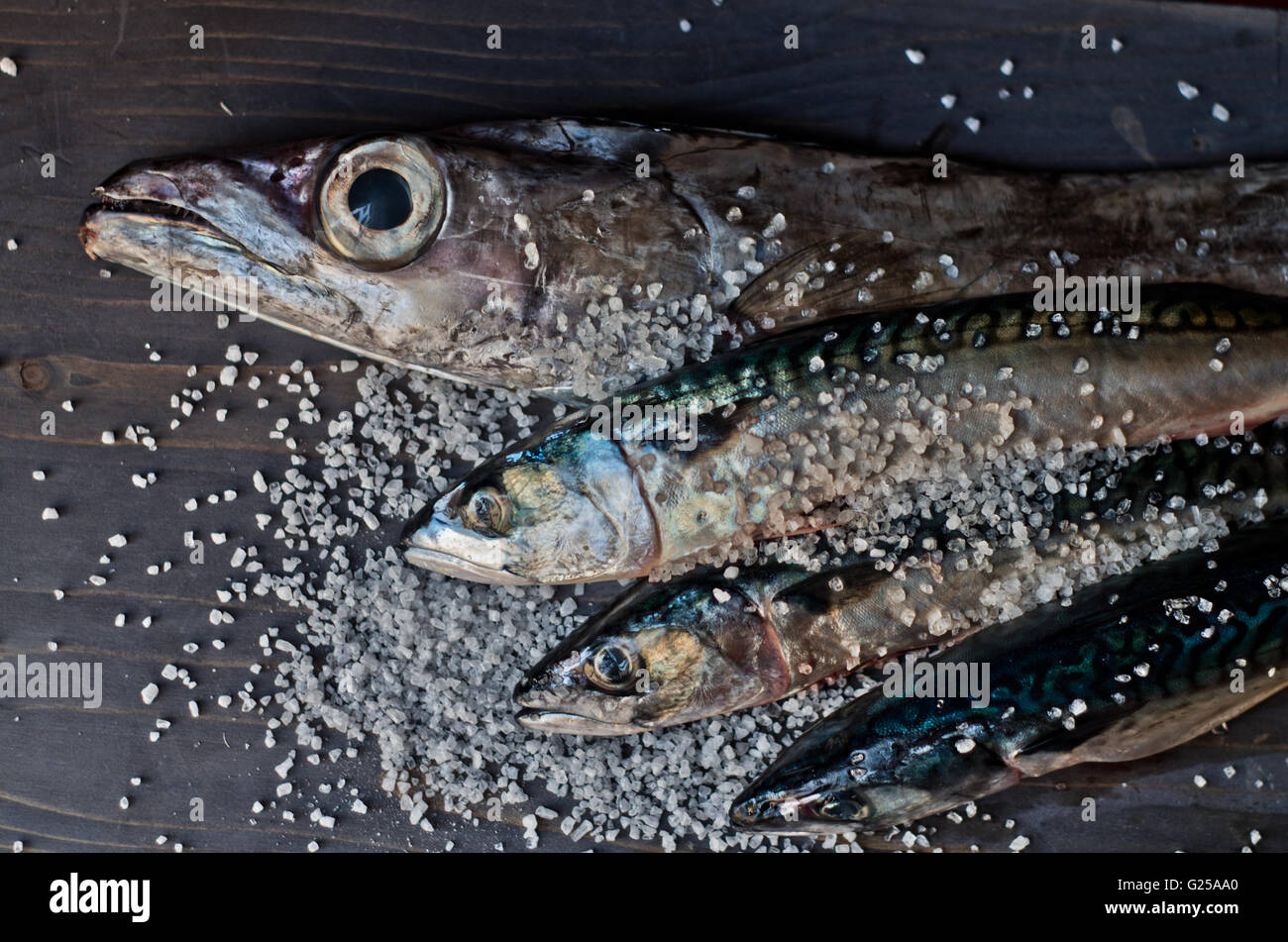 Fish covered in salt Stock Photo - Alamy