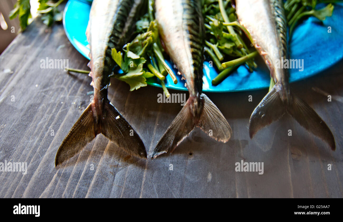 Three fish hi-res stock photography and images - Alamy