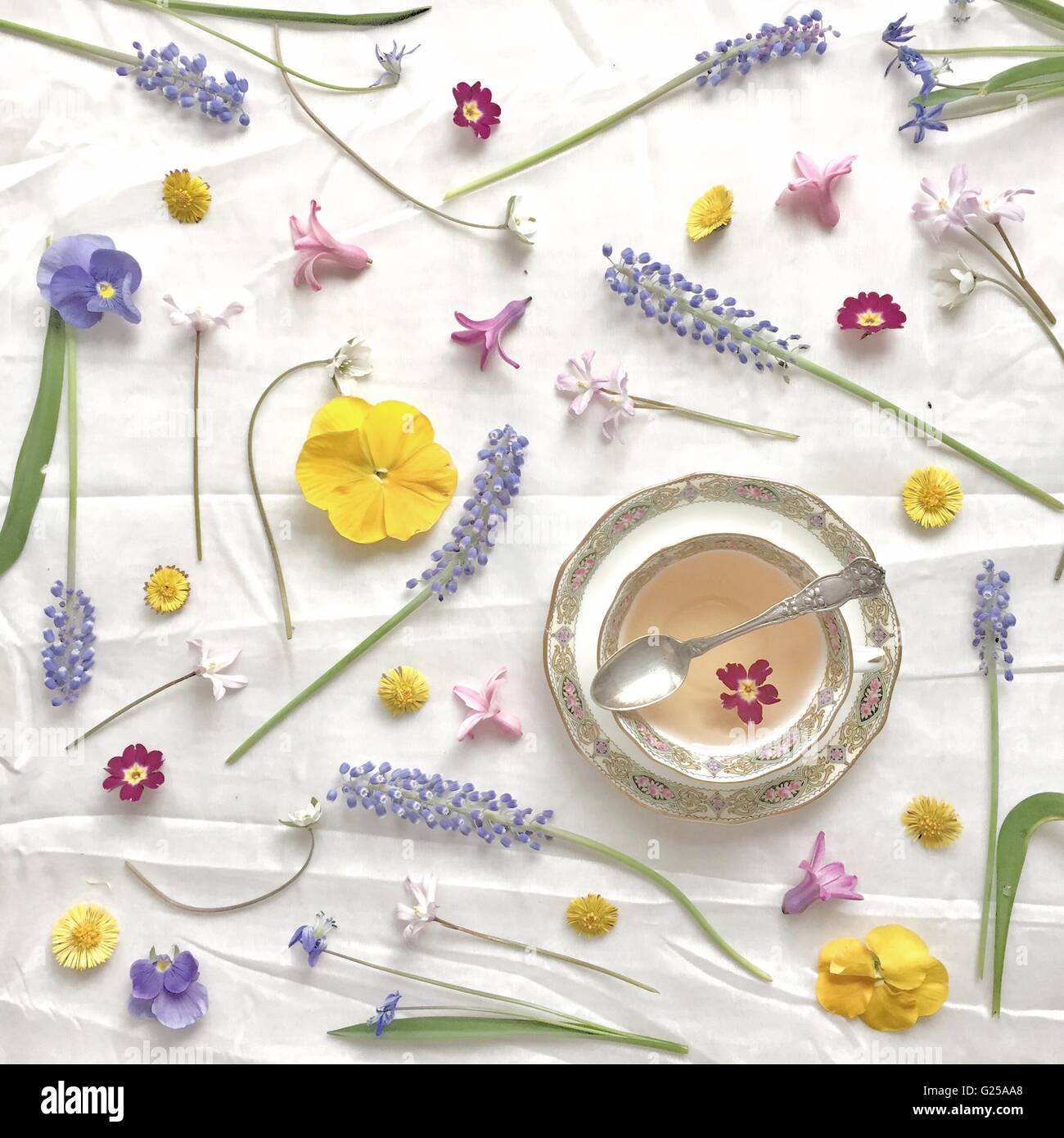 Spring flowers and cup of tea Stock Photo - Alamy
