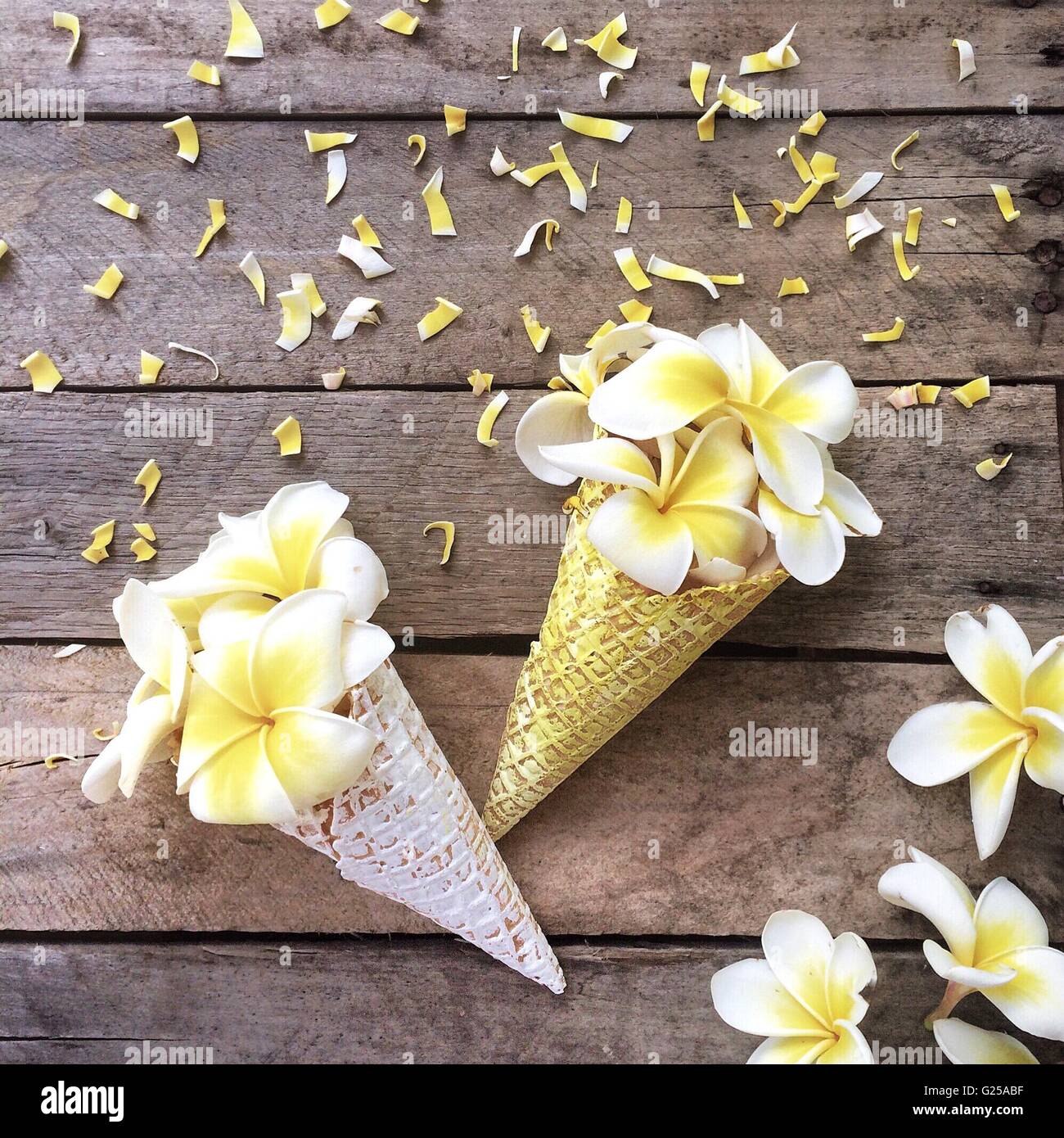 Conceptual ice cream cones made with frangipani flowers Stock Photo - Alamy