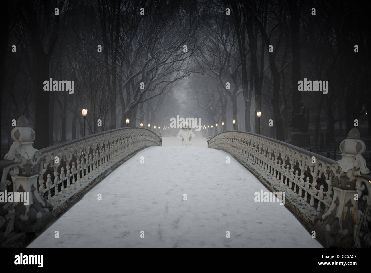 Woman walking over bridge in snow, Central Park, Manhattan, New York ...