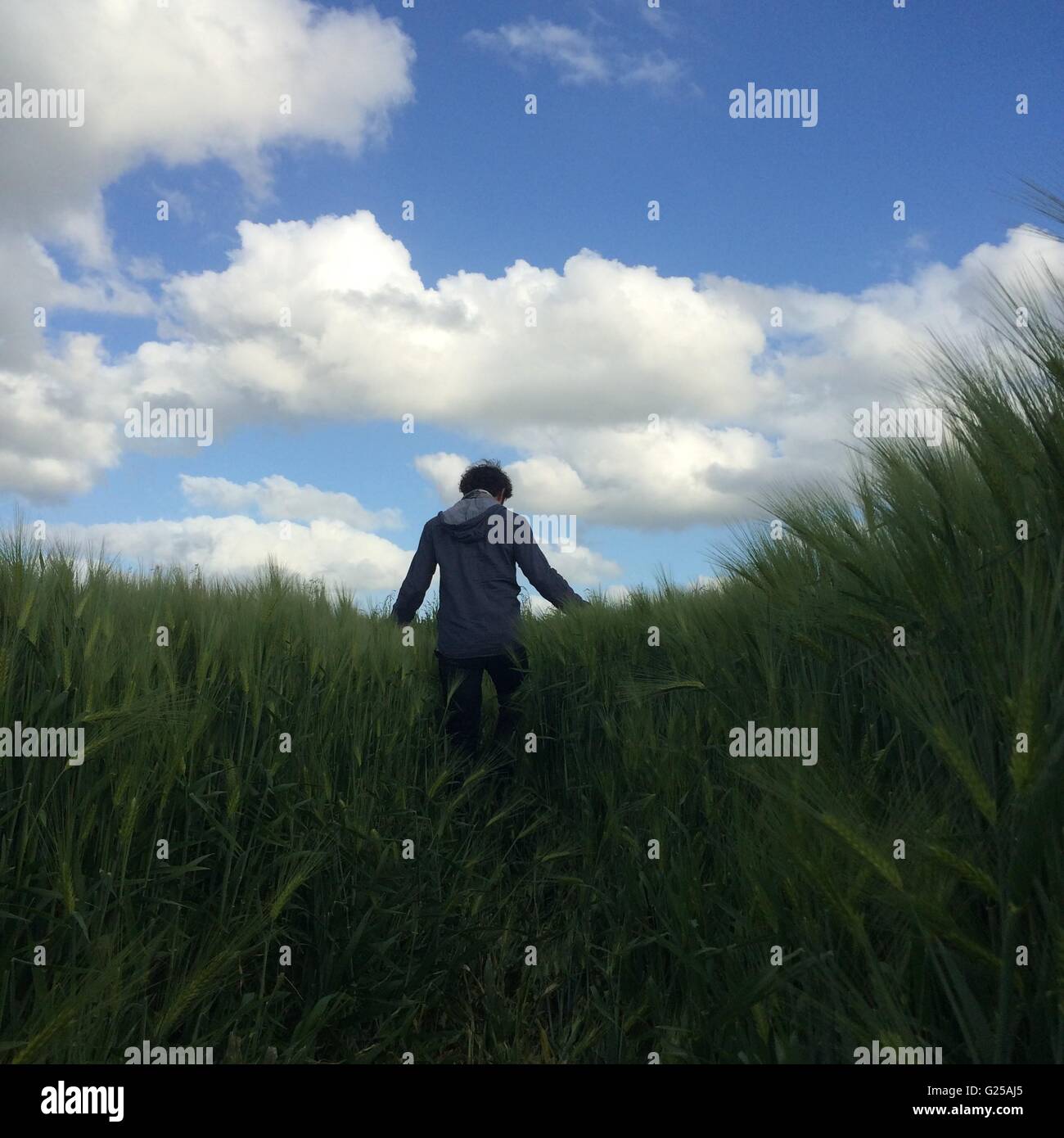 Walking through field hi-res stock photography and images - Alamy