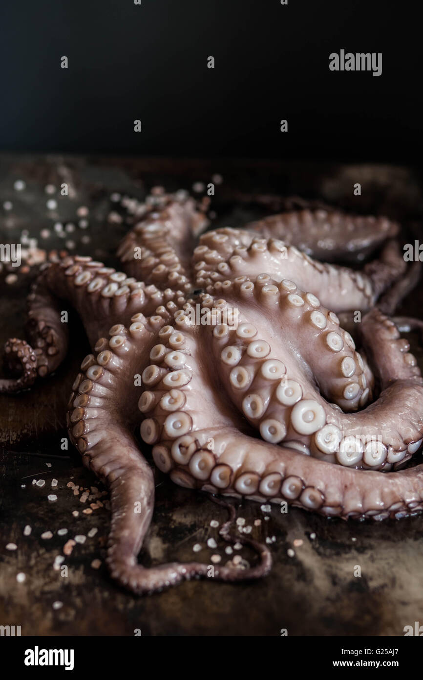 Dead octopus hi-res stock photography and images - Alamy