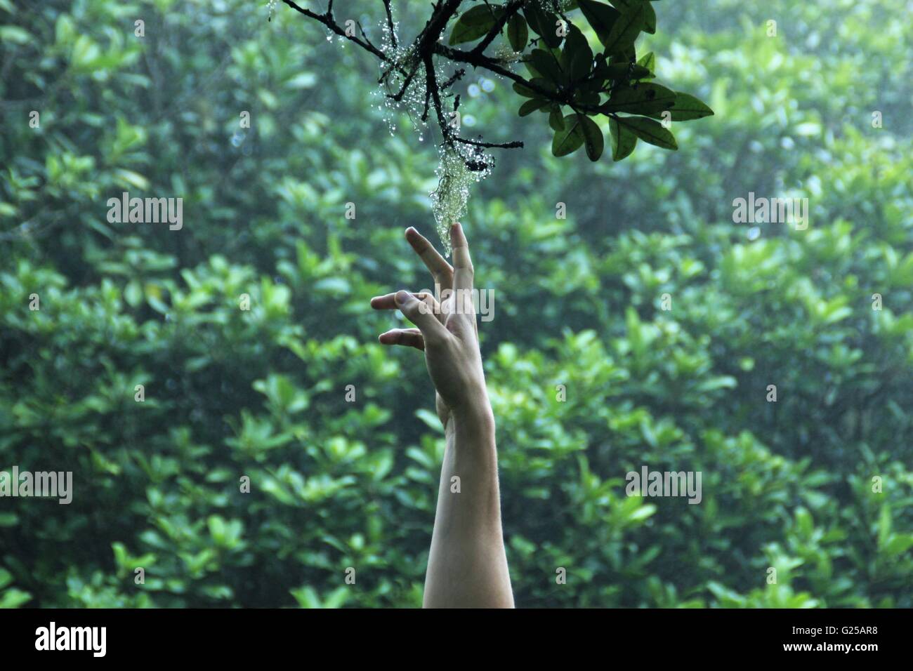 Hand reaching hi-res stock photography and images - Alamy