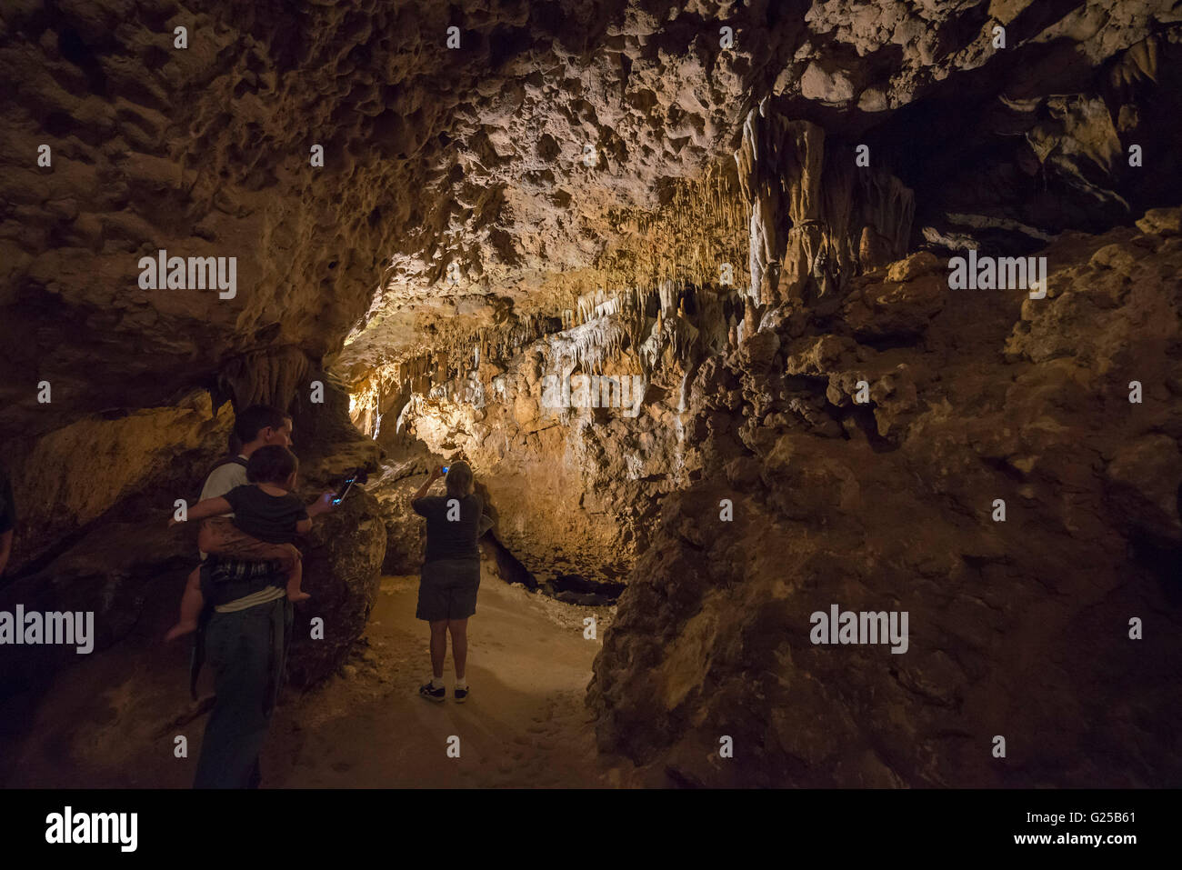 Florida Caverns State Park in Marianna, Florida offers cave tours ...