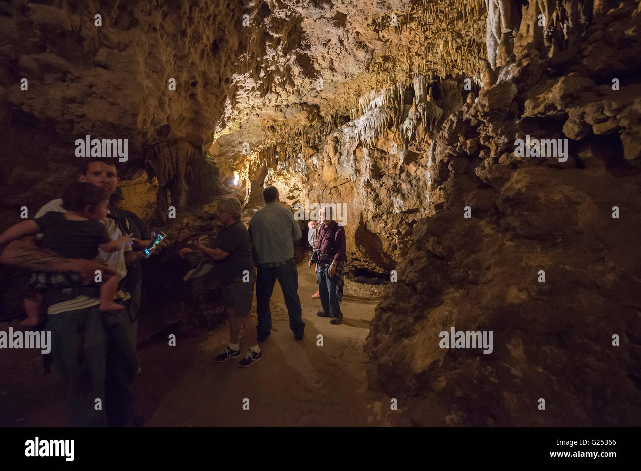 Florida Caverns State Park in Marianna, Florida offers cave tours ...