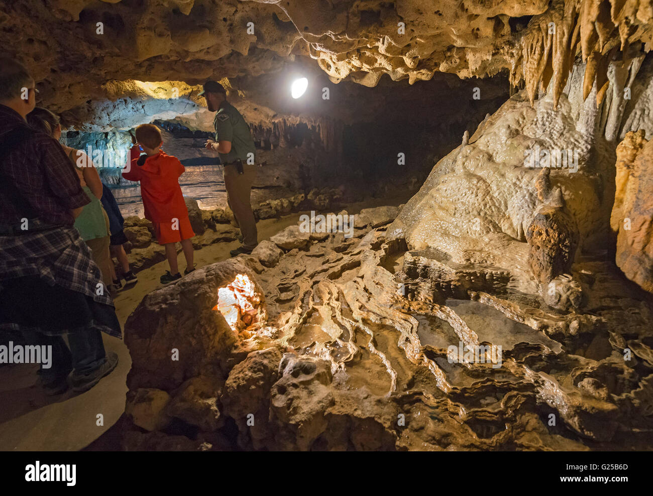 Florida Caverns State Park in Marianna, Florida offers cave tours ...