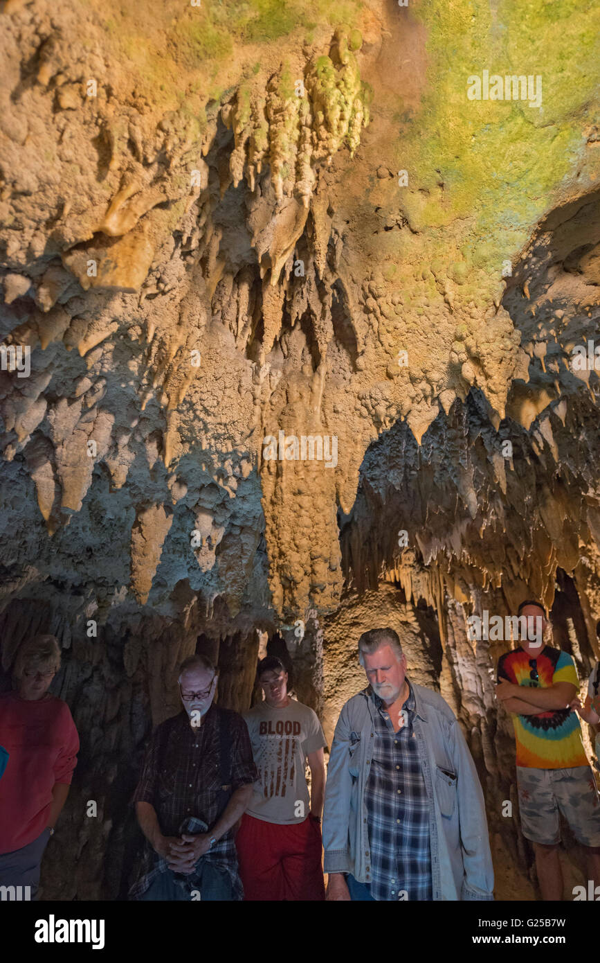 Florida Caverns State Park in Marianna, Florida offers cave tours ...