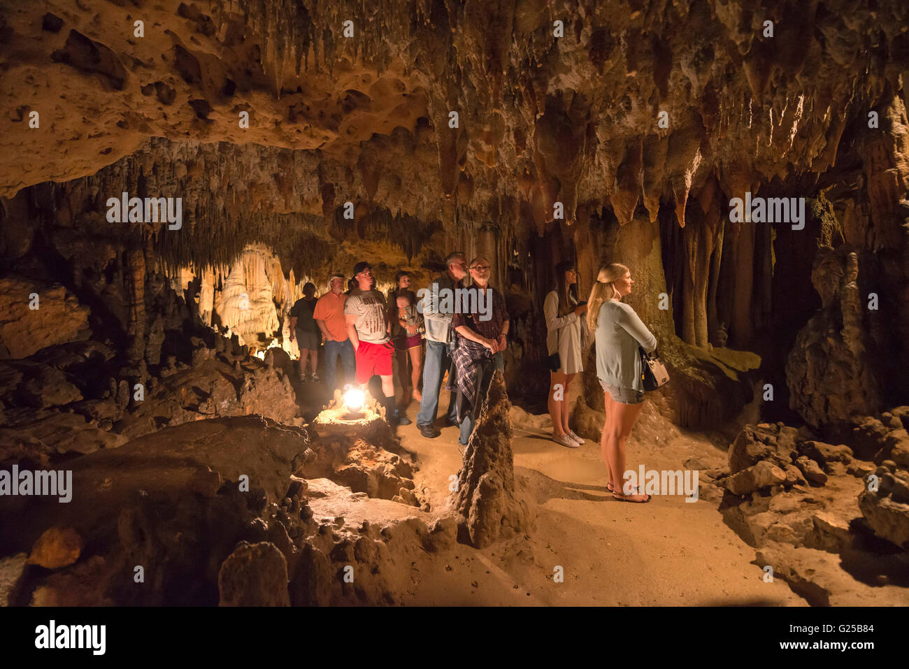 Florida Caverns State Park in Marianna, Florida offers cave tours ...