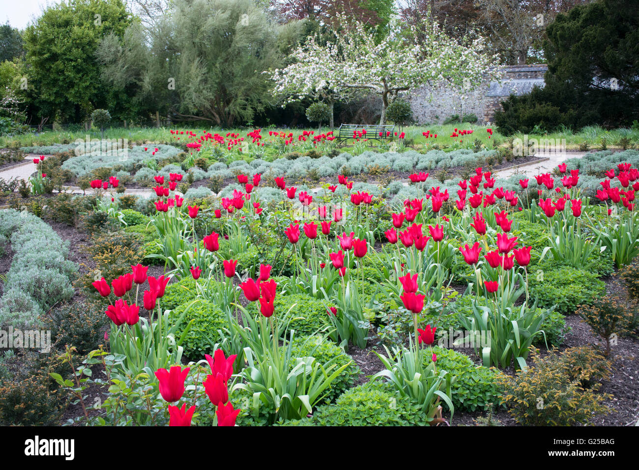 Formal garden border spring flowers hi-res stock photography and images ...