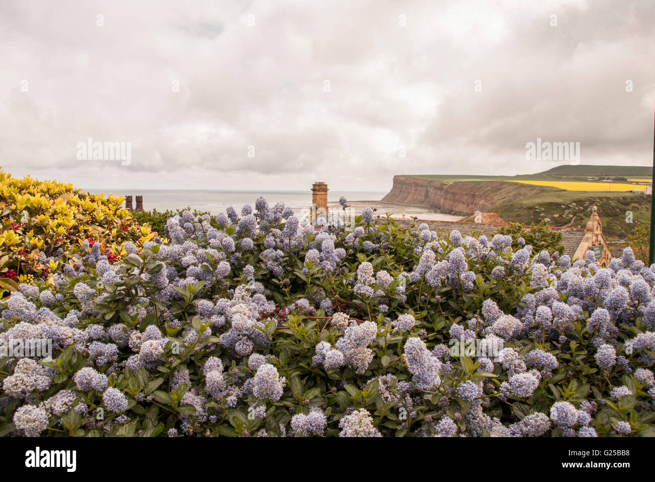 Elevated view saltburn hi-res stock photography and images - Alamy