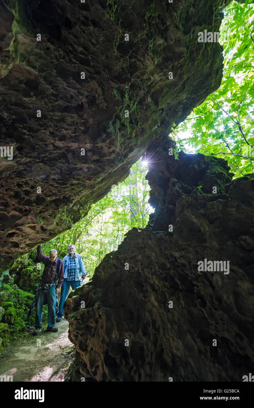 Florida Caverns State Park in Marianna, Florida. Exit / entrance to ...