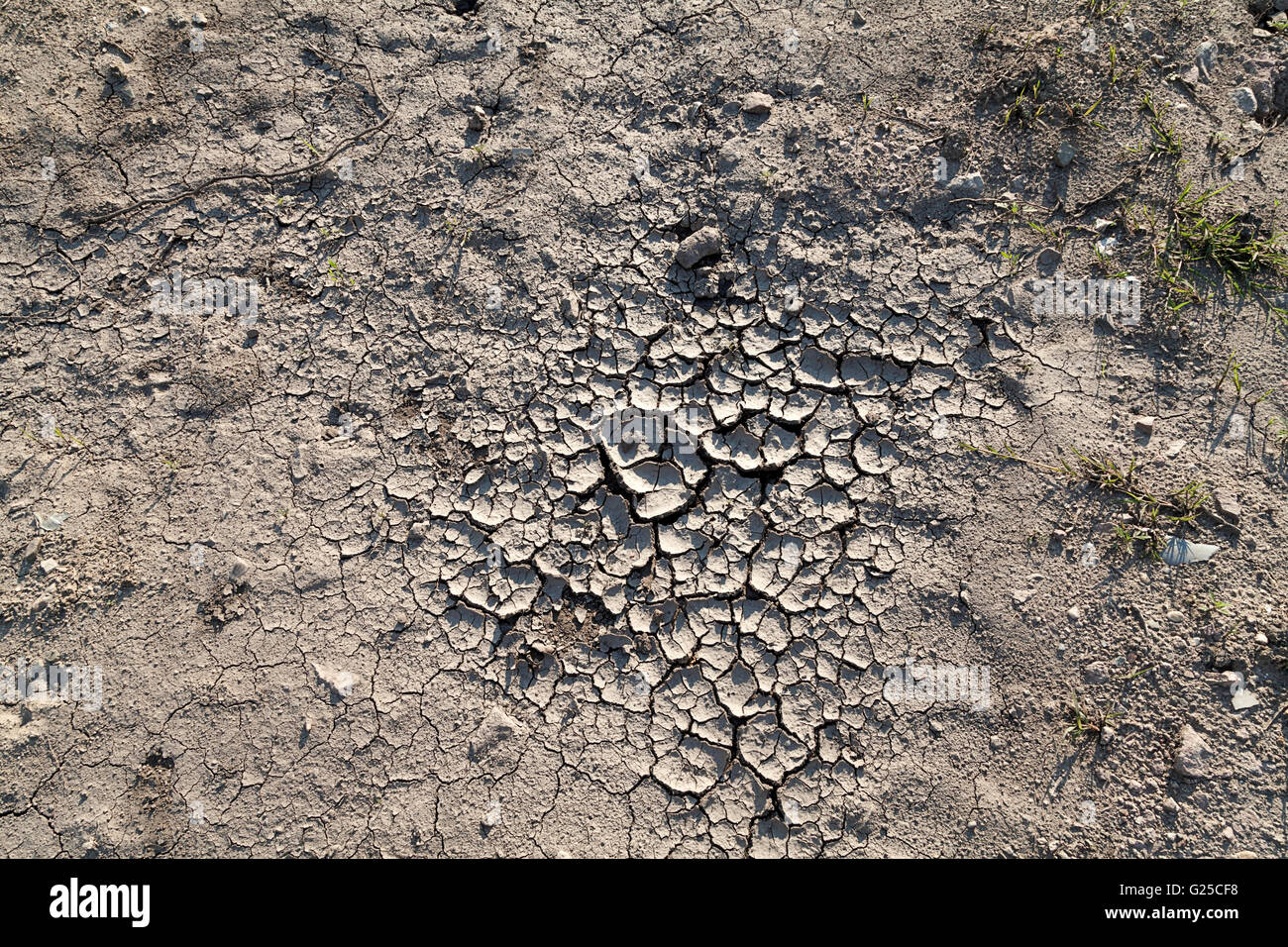 soil drought cracked texture Stock Photo - Alamy