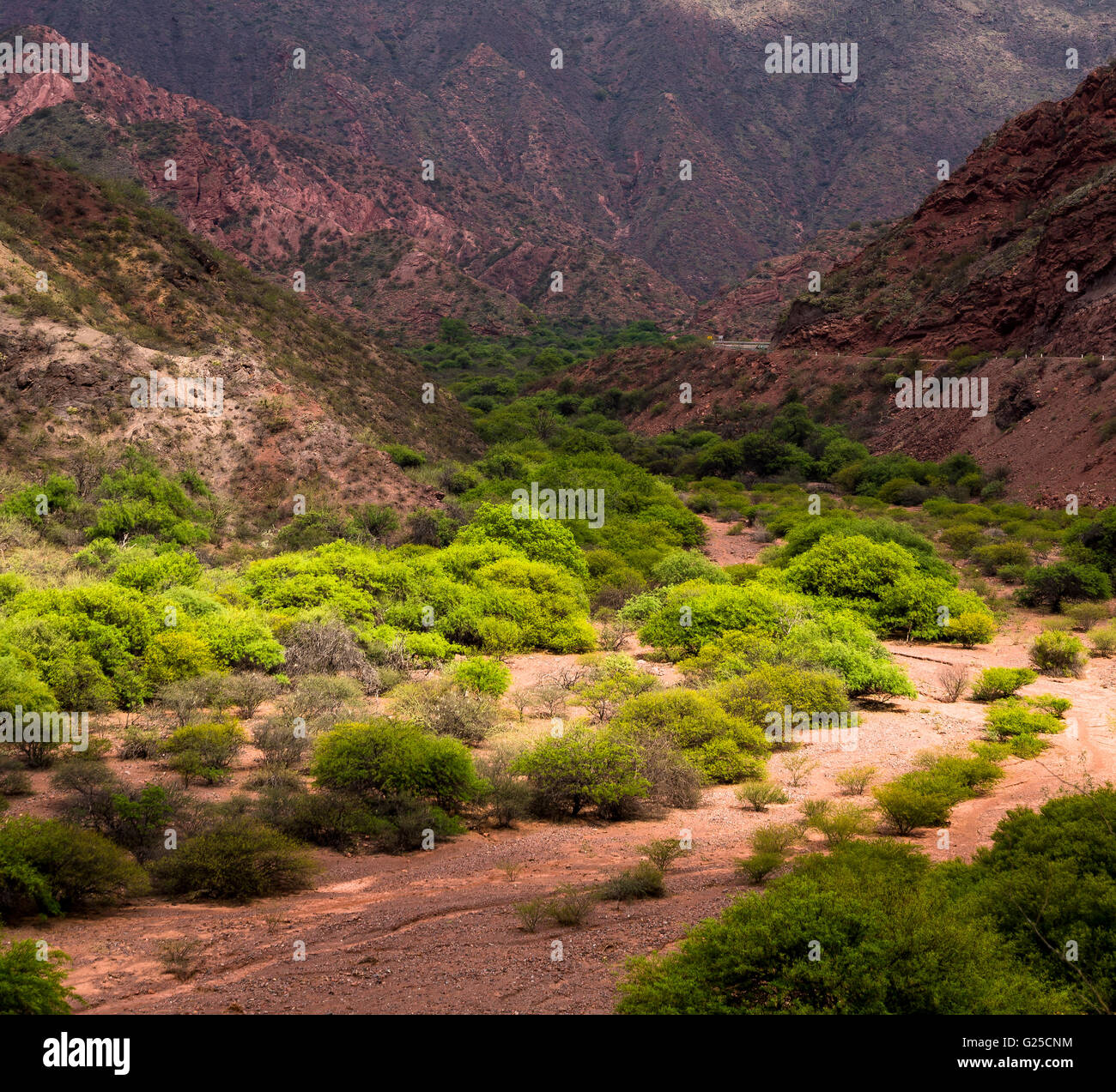 Quebrada de Cafayate, Salta province, Argentina Stock Photo - Alamy
