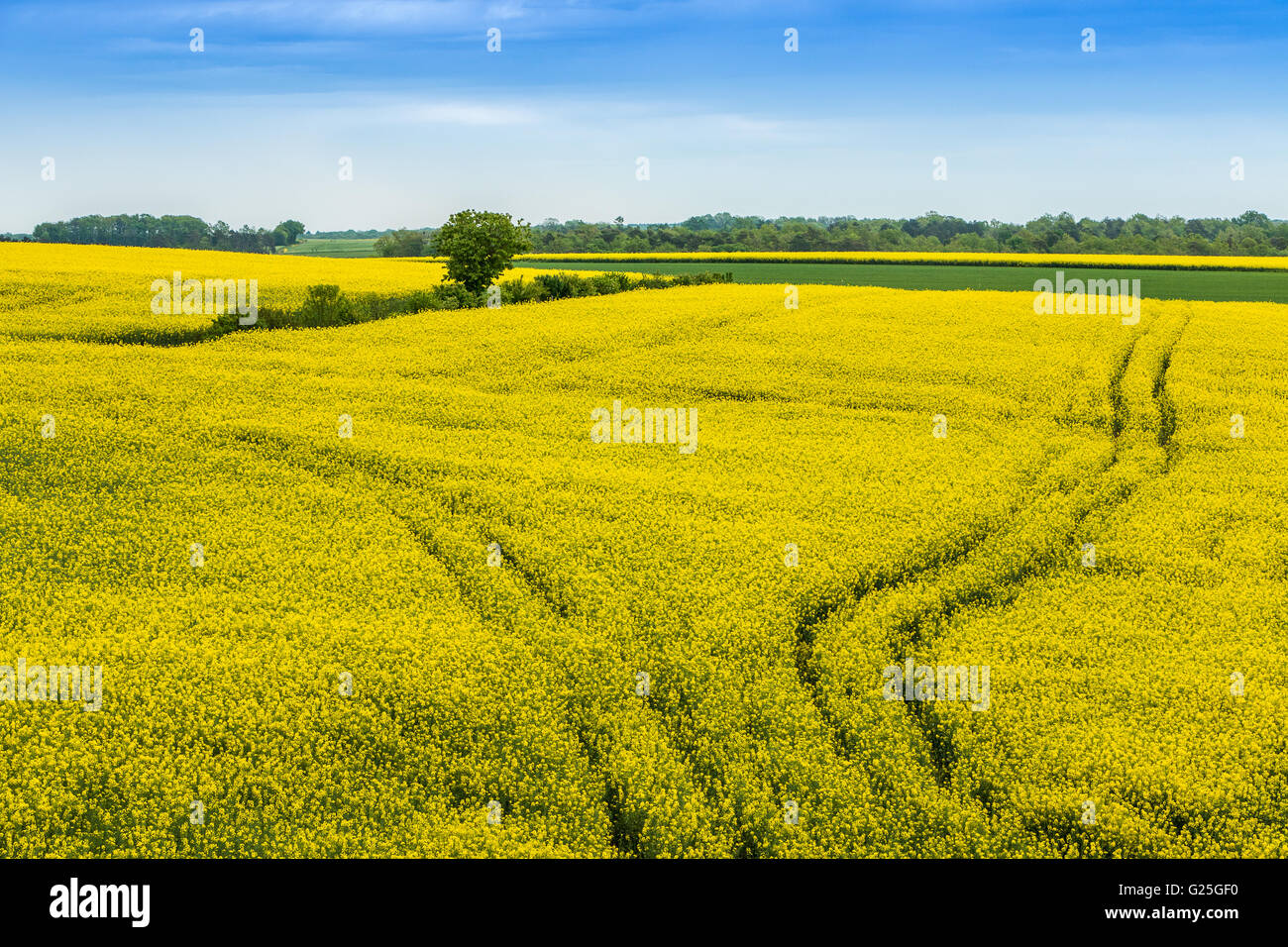 Colourful fields hi-res stock photography and images - Alamy