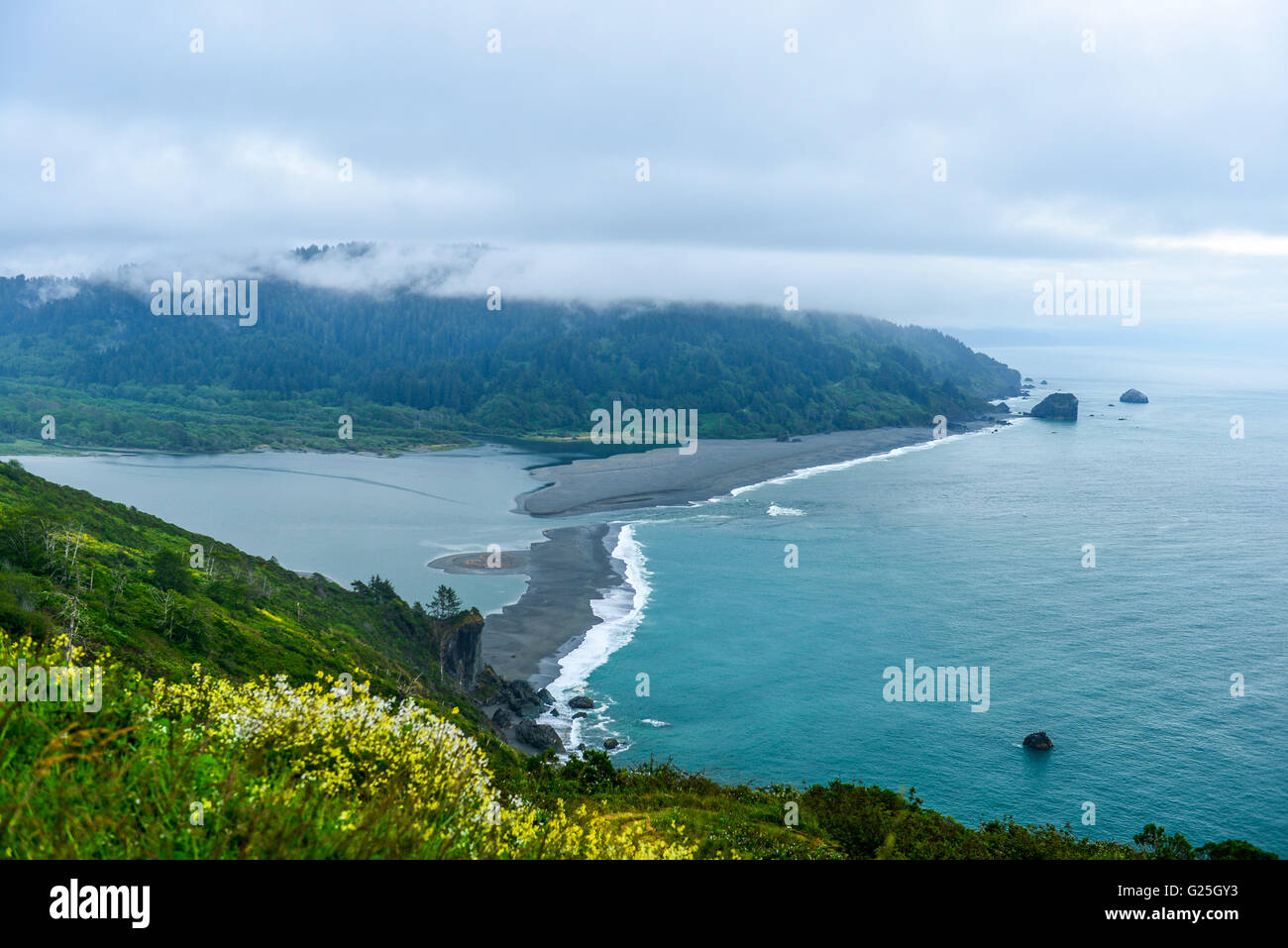 Olympic National Park Coast Stock Photo - Alamy