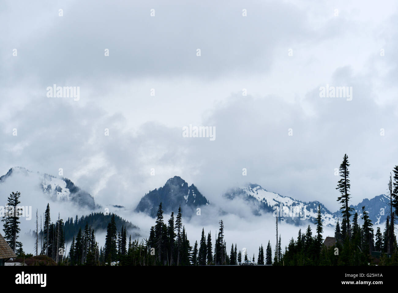 Mt Ranier National Park Stock Photo - Alamy