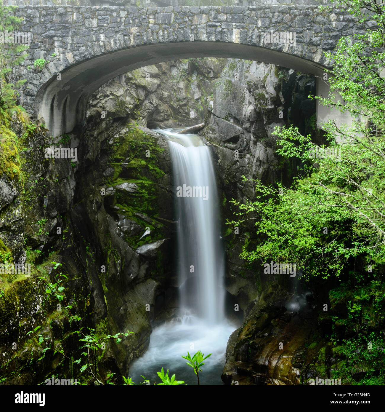 Mt Ranier National Park Stock Photo - Alamy