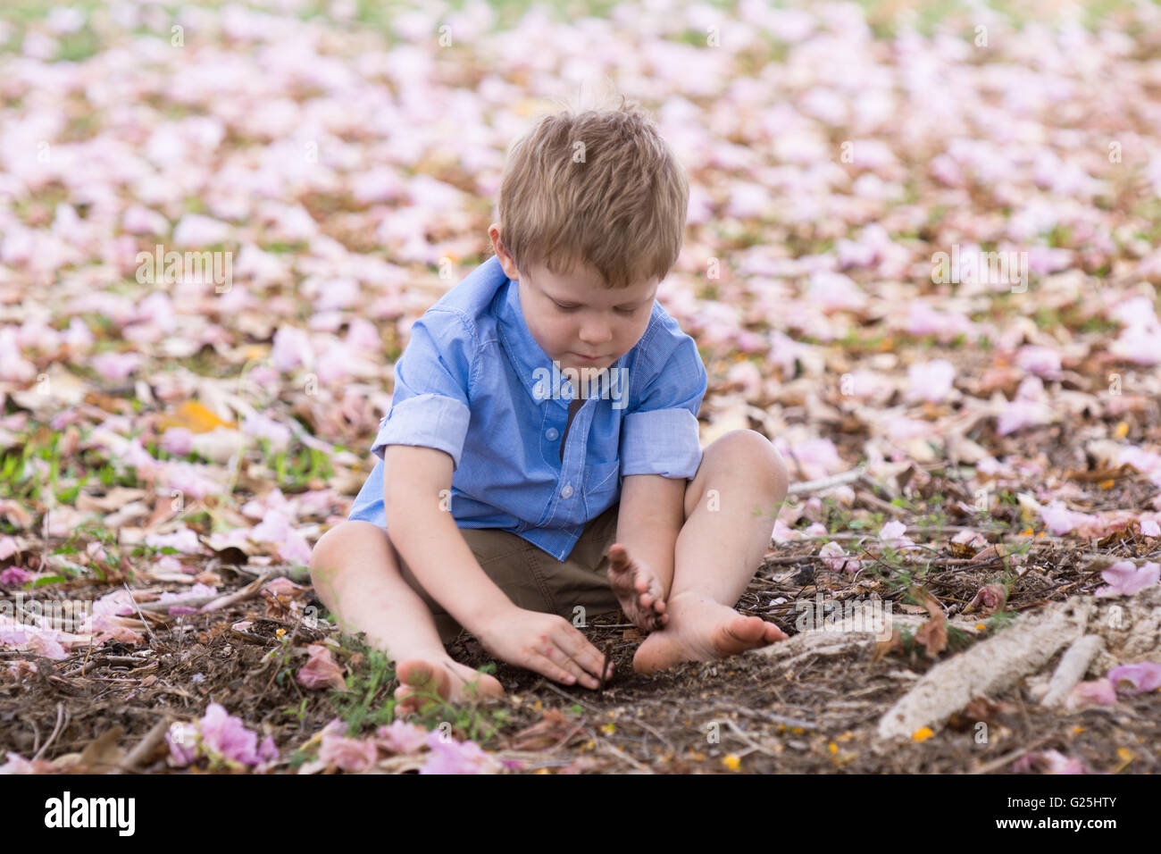 Little boy playing with dirt in garden Stock Photo - Alamy