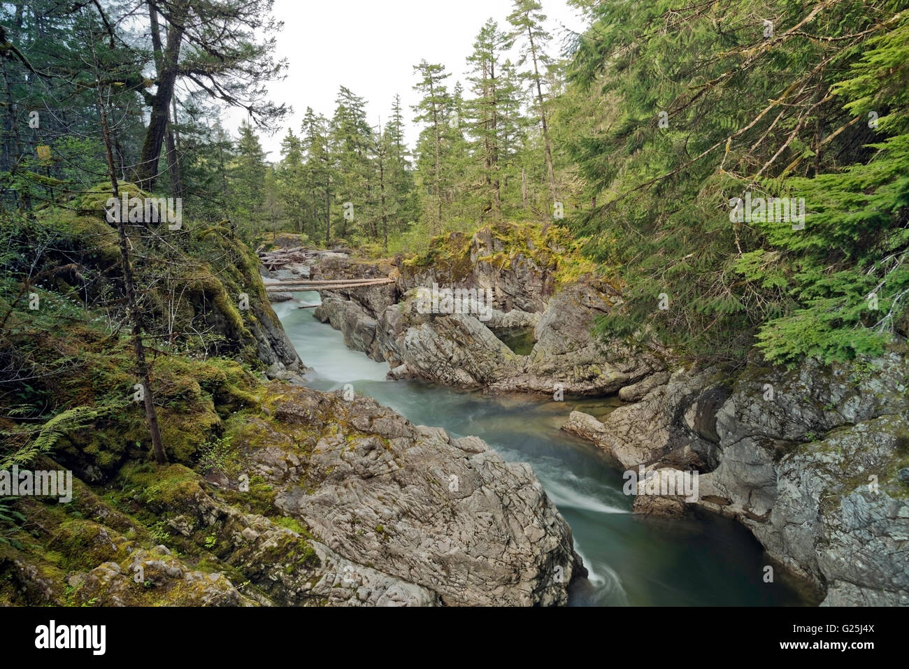 Little qualicum falls provincial hi-res stock photography and images ...