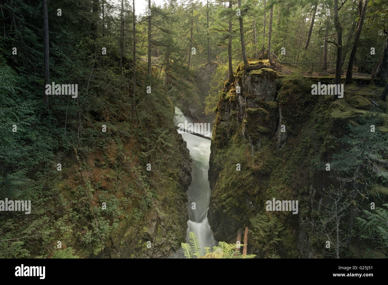 Little qualicum falls provincial hi-res stock photography and images ...