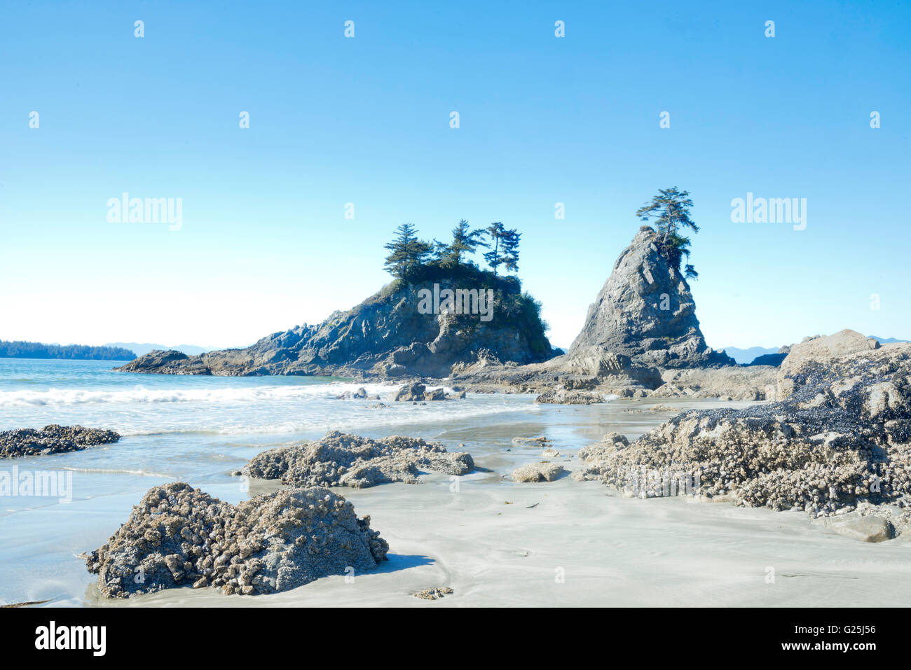 Beautiful Brady's Beach, Bamfield,Vancouver island Stock Photo - Alamy