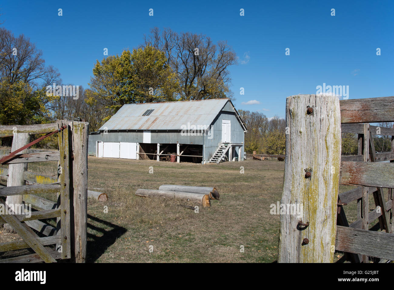 Farm sheds, stables and holding yards at Saumarez, a National Trust ...