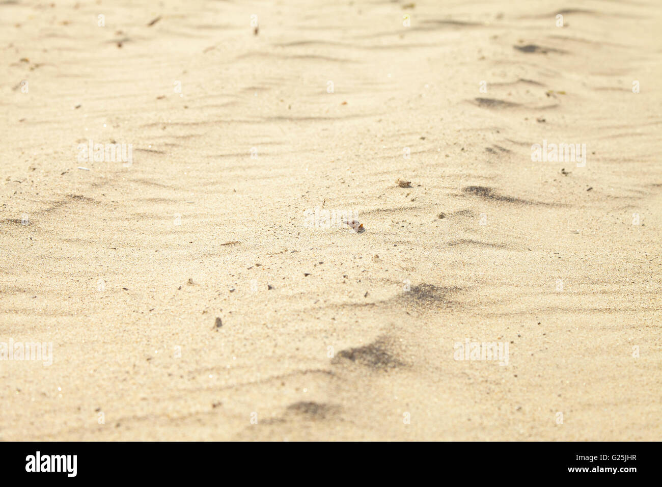 Small sandy surface hi-res stock photography and images - Alamy