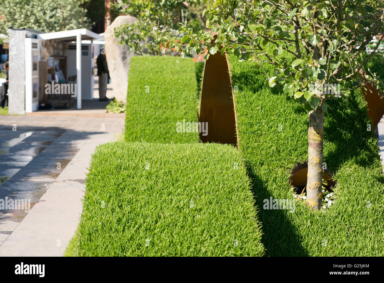 The World Vision Garden at the 2016 RHS Chelsea Flower Show, Designer ...
