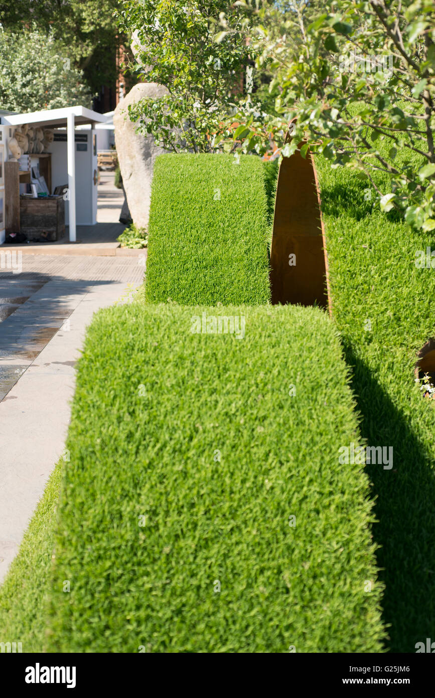 The World Vision Garden at the 2016 RHS Chelsea Flower Show, Designer ...