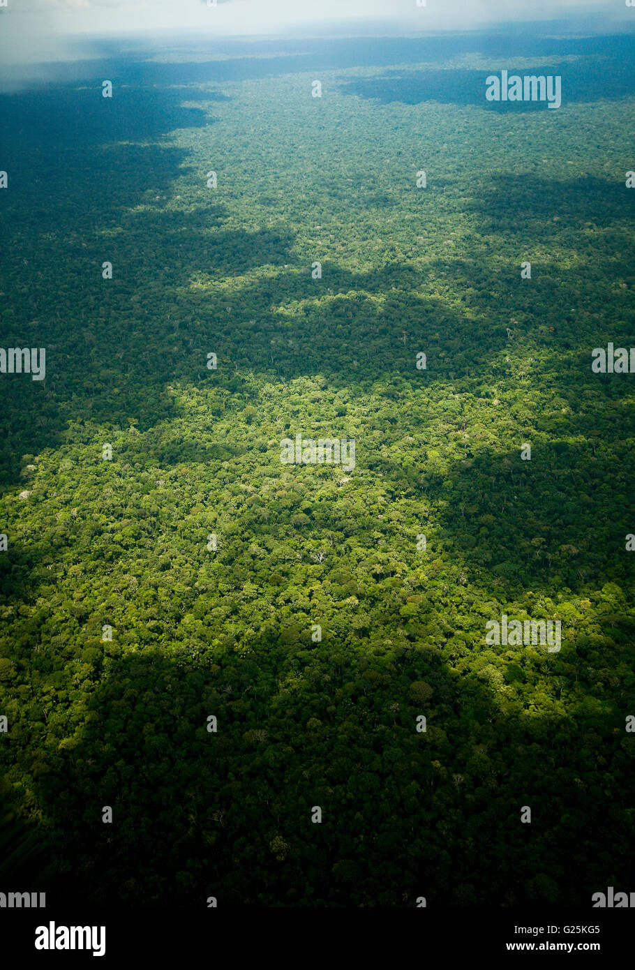 Amazon rainforest aerial peru hi-res stock photography and images - Alamy