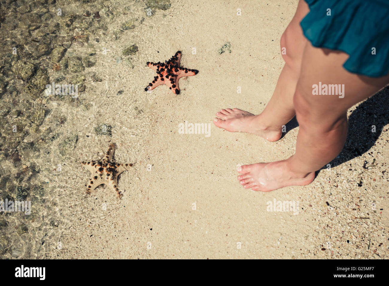 Two starfish on the beach and the feet of a young woman Stock Photo - Alamy