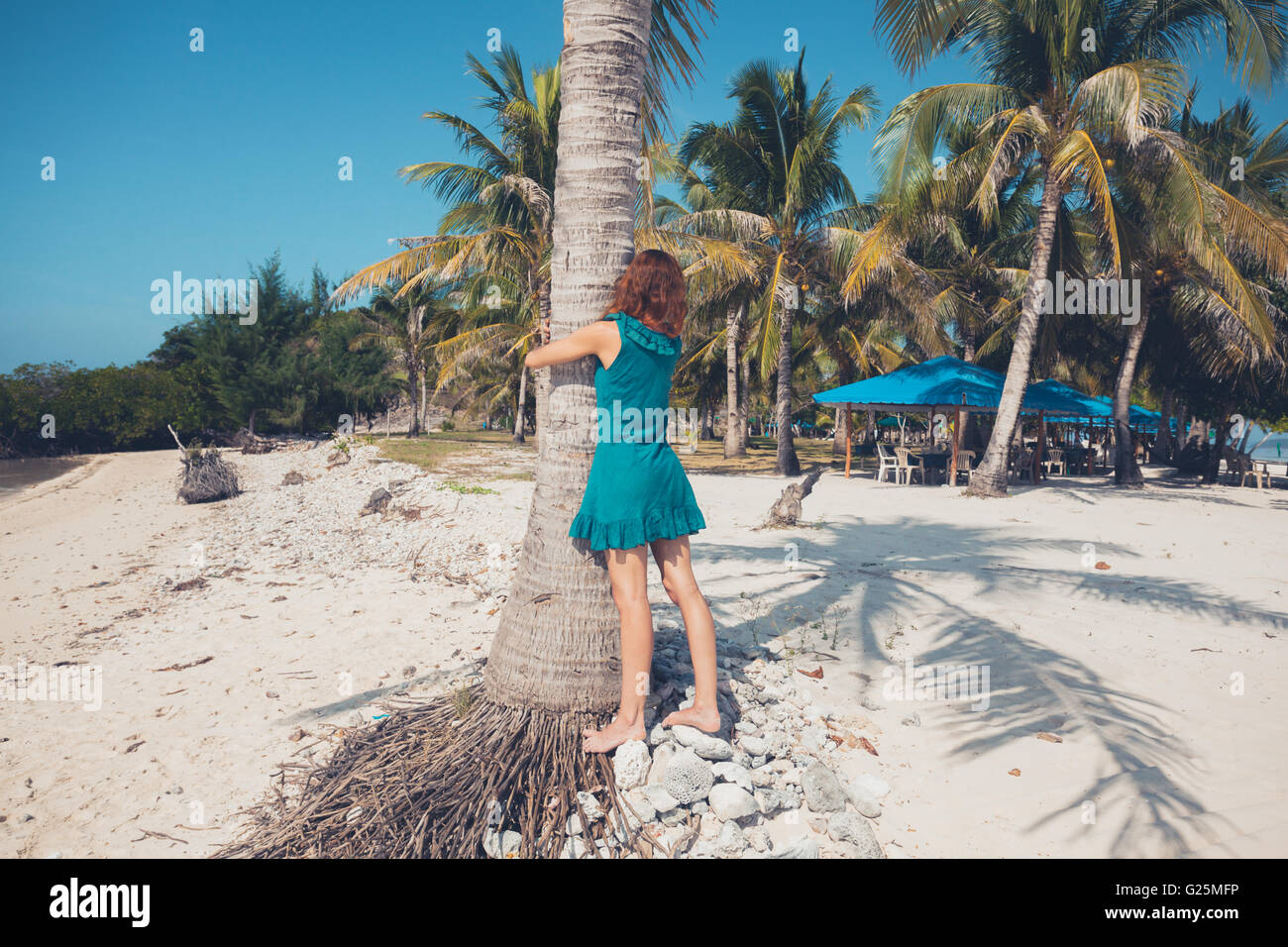A young woman is hugging a palm tree on the beach Stock Photo - Alamy