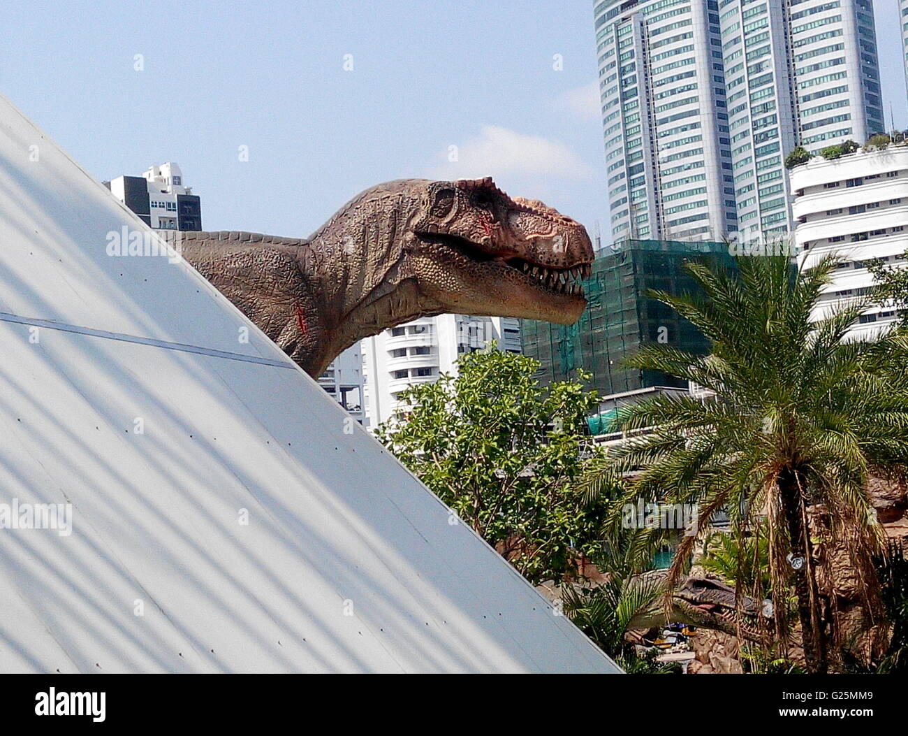 Tyranosaur rex hi-res stock photography and images - Alamy