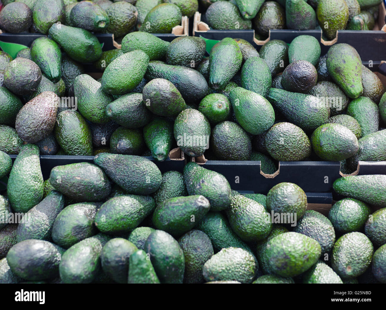 A large selection of avocados in boxes at a vegetale market Stock Photo ...