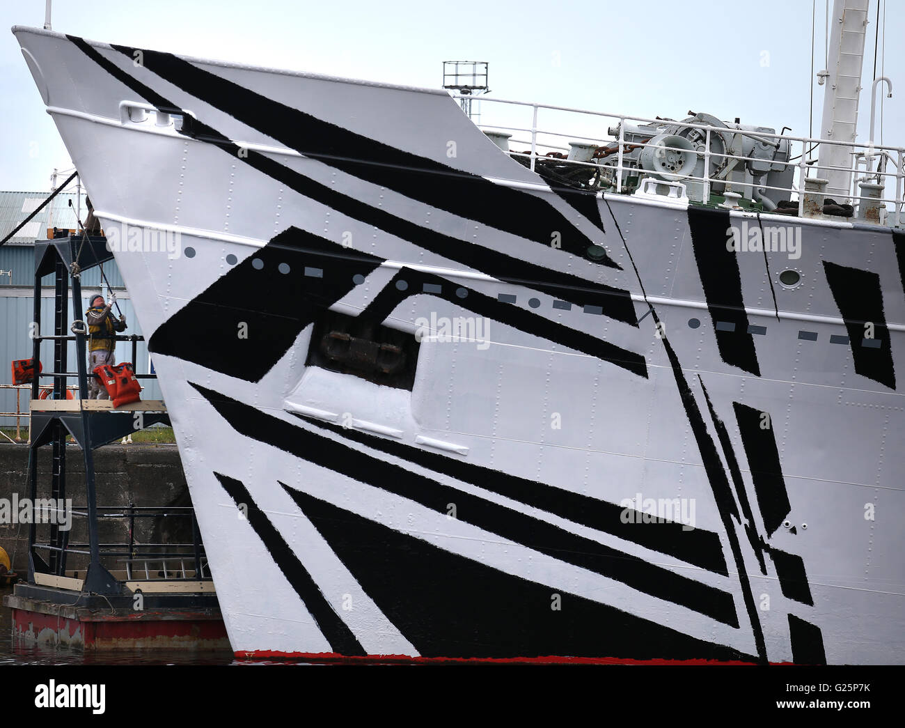 A painter puts the finishing touches to past MV Fingal, as artist Ciara ...