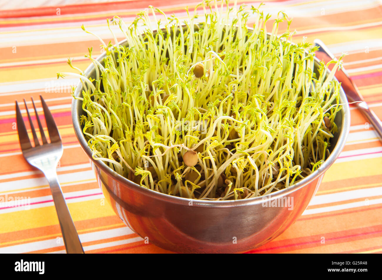 Lentil Growing Stock Photos & Lentil Growing Stock Images - Alamy