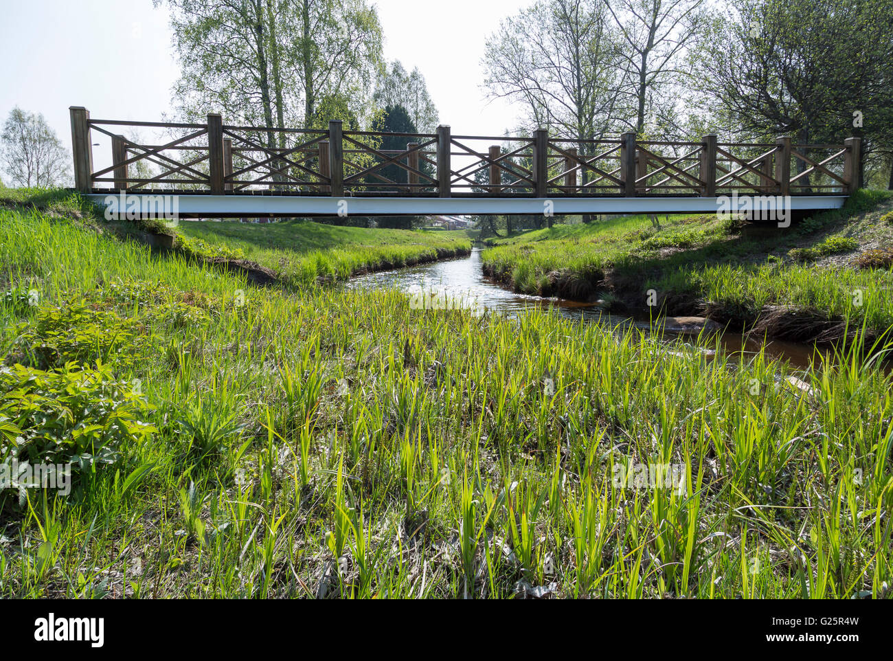 Stream with trees and grass hi-res stock photography and images - Alamy