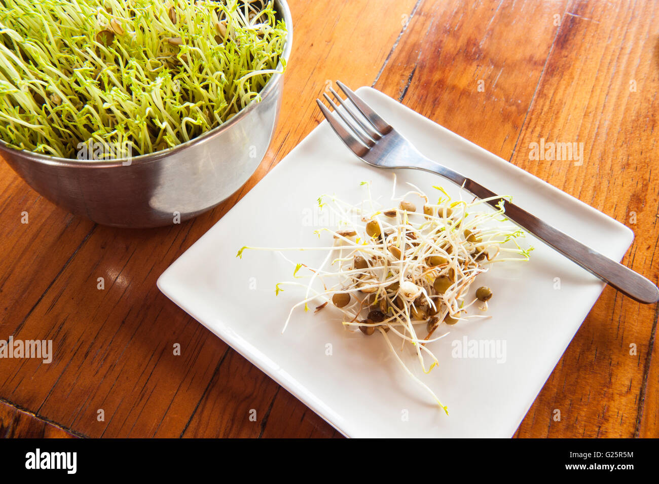 Lentil growing hi-res stock photography and images - Alamy